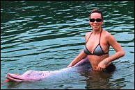mariah dolphin
